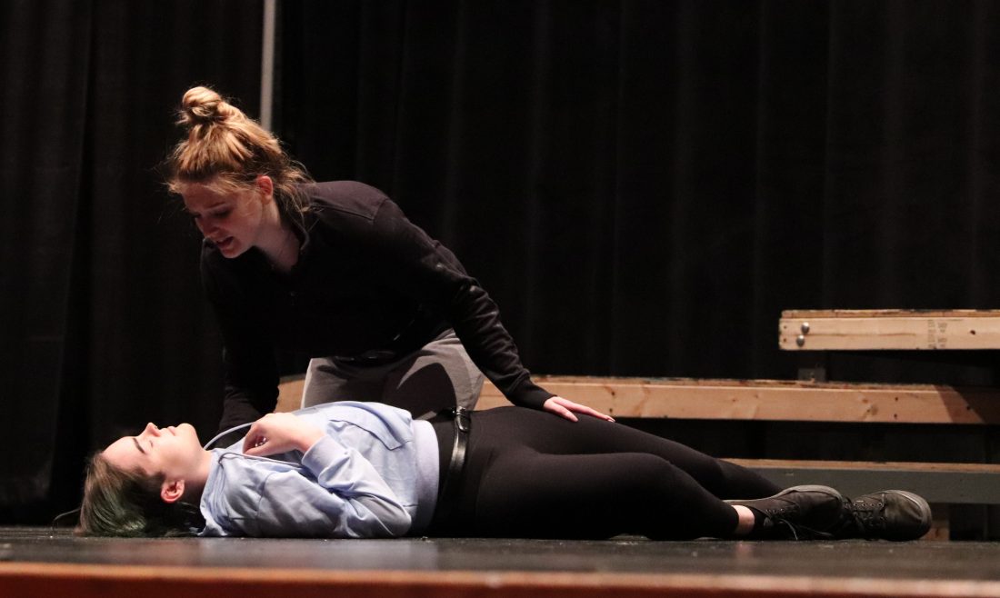 D&E presenting musical ‘The Apple Tree’ | News, Sports, Jobs - The ...